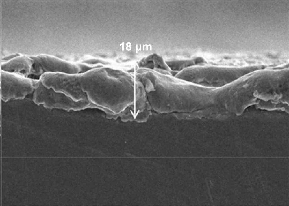 Surface modification and functionalization by electrical discharge ...