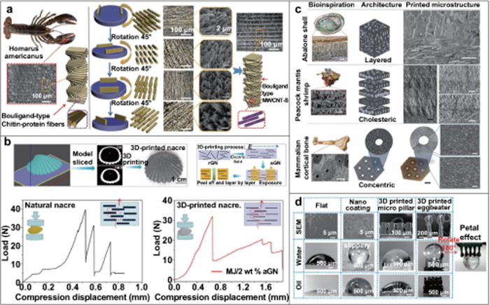 Projection micro stereolithography based 3D printing and its ...