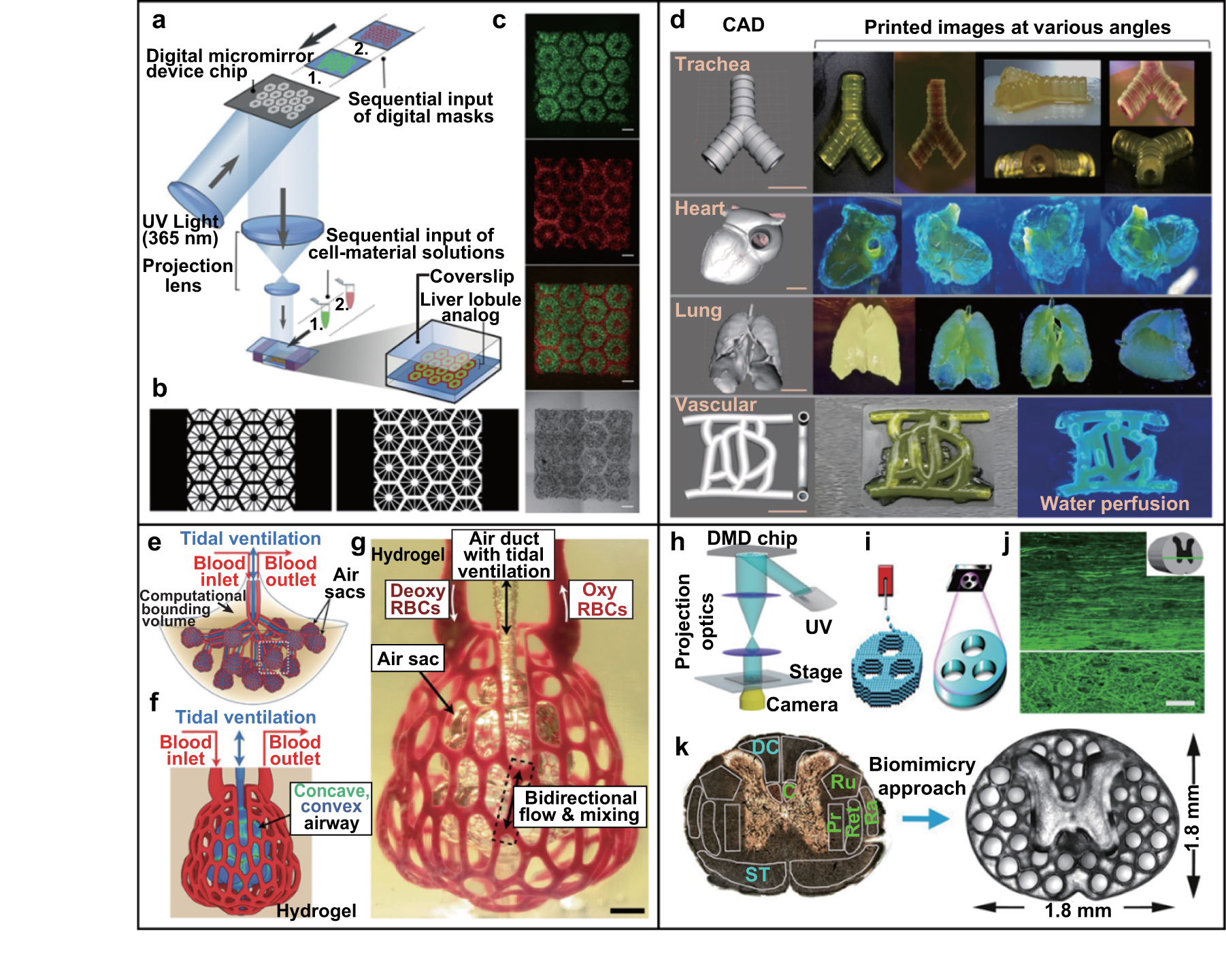 Projection micro stereolithography based 3D printing and its ...
