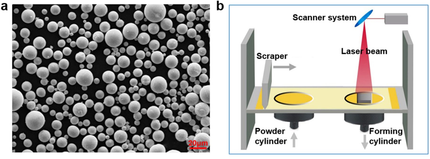 Effects of laser scanning strategies on selective laser melting of pure ...