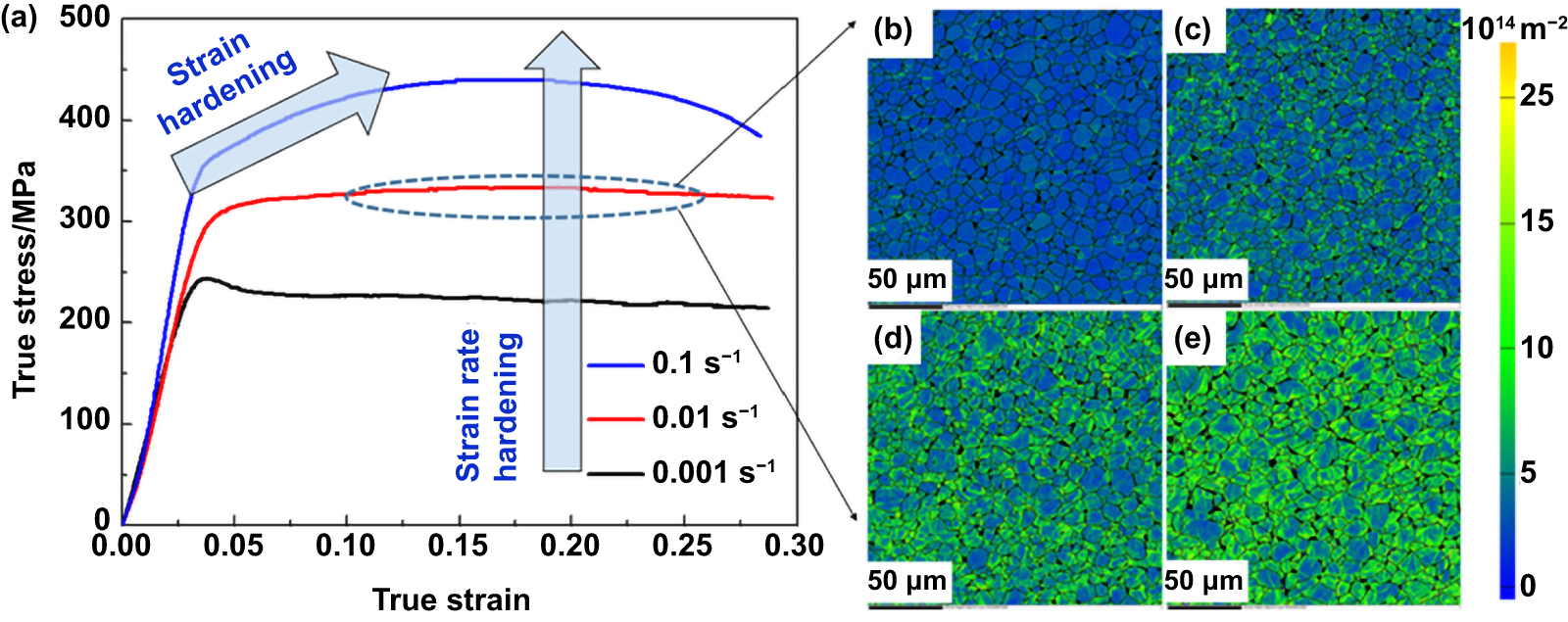 High-efficiency forming processes for complex thin-walled titanium ...