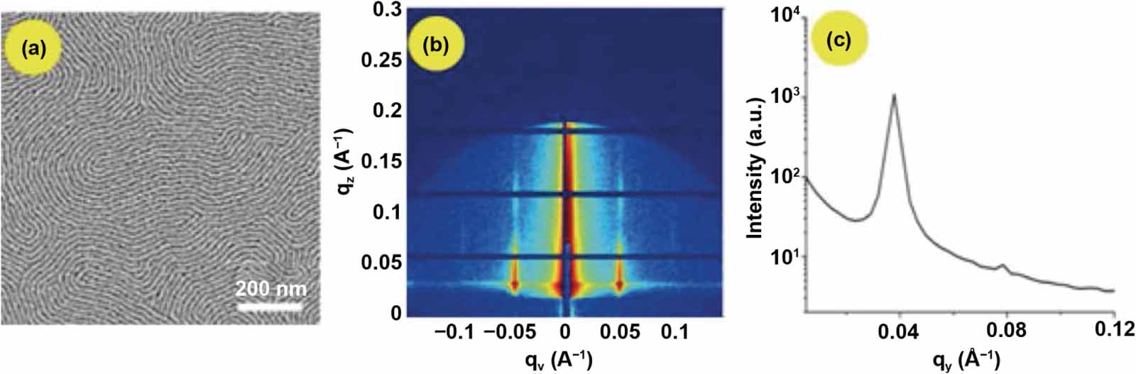 Directed self-assembly of block copolymers for sub-10 nm fabrication ...