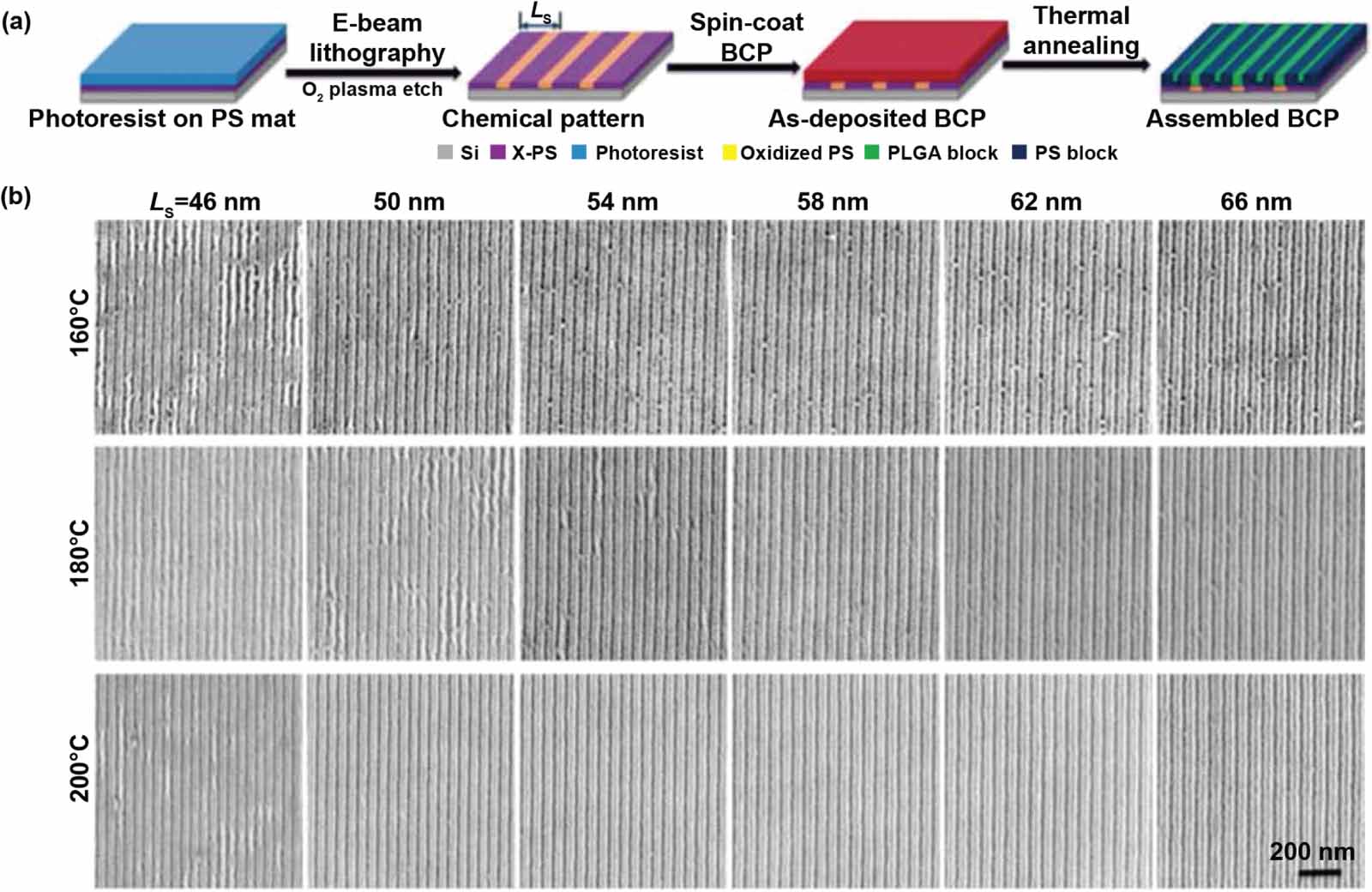 Directed self-assembly of block copolymers for sub-10 nm fabrication ...