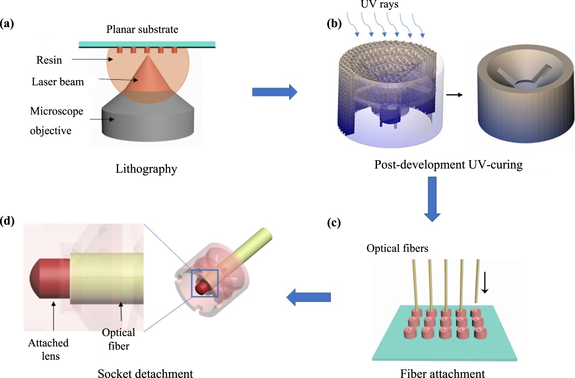 3D printed fiber sockets for plug and play micro-optics - IOPscience