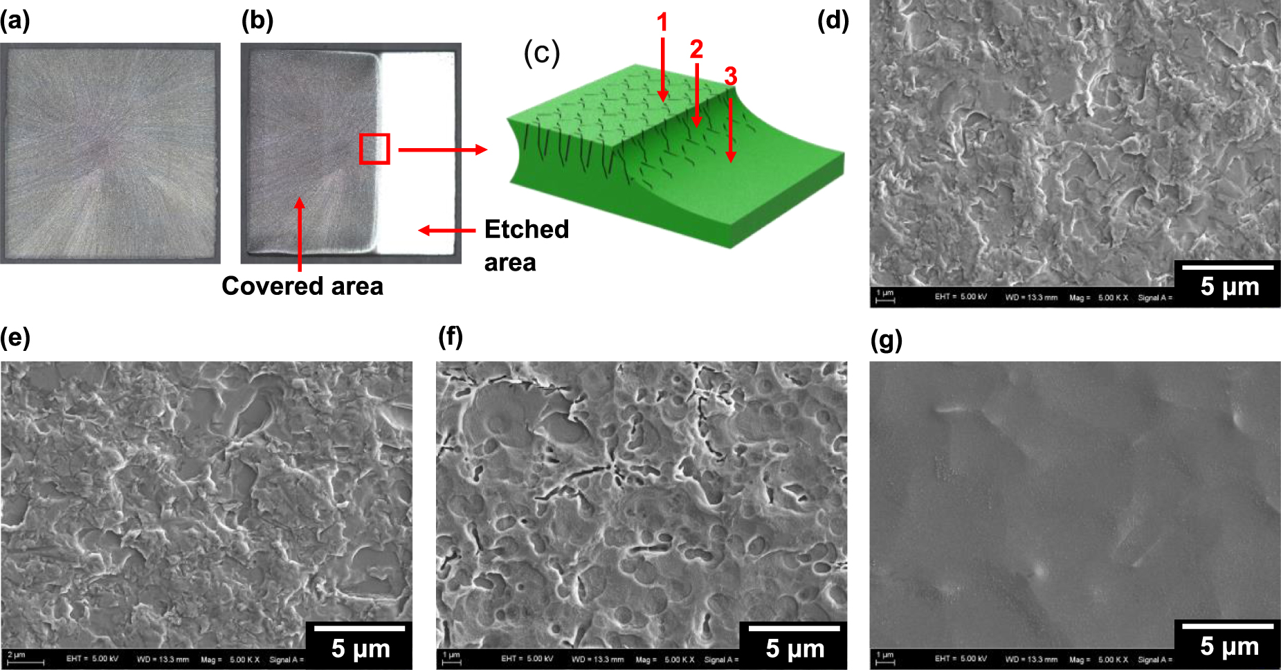 Rapid subsurface damage detection of SiC using inductivity coupled ...