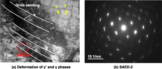 Creep feed grinding induced gradient microstructures in the superficial ...