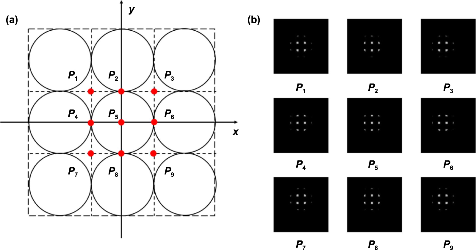 A light field measurement system through PSF estimation by a morphology ...