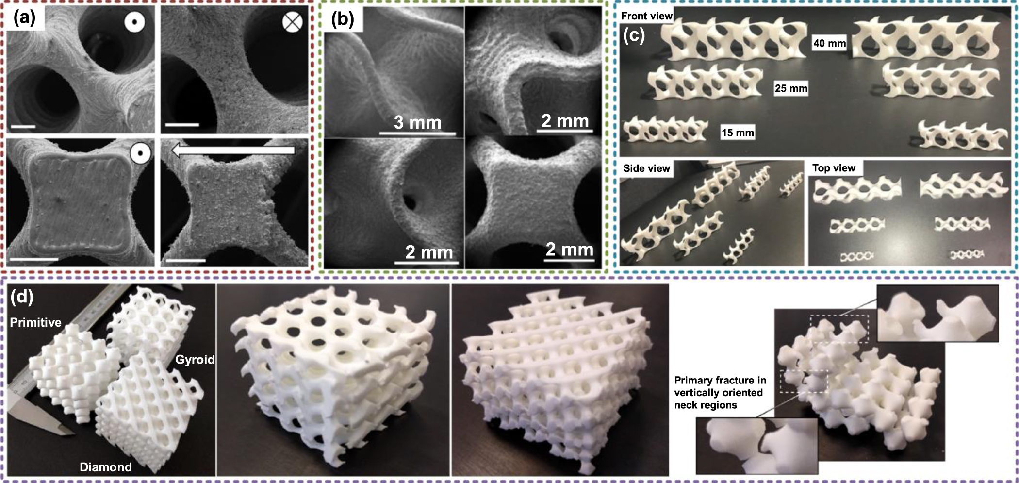Triply periodic minimal surface (TPMS) porous structures: from multi-scale design, precise ...