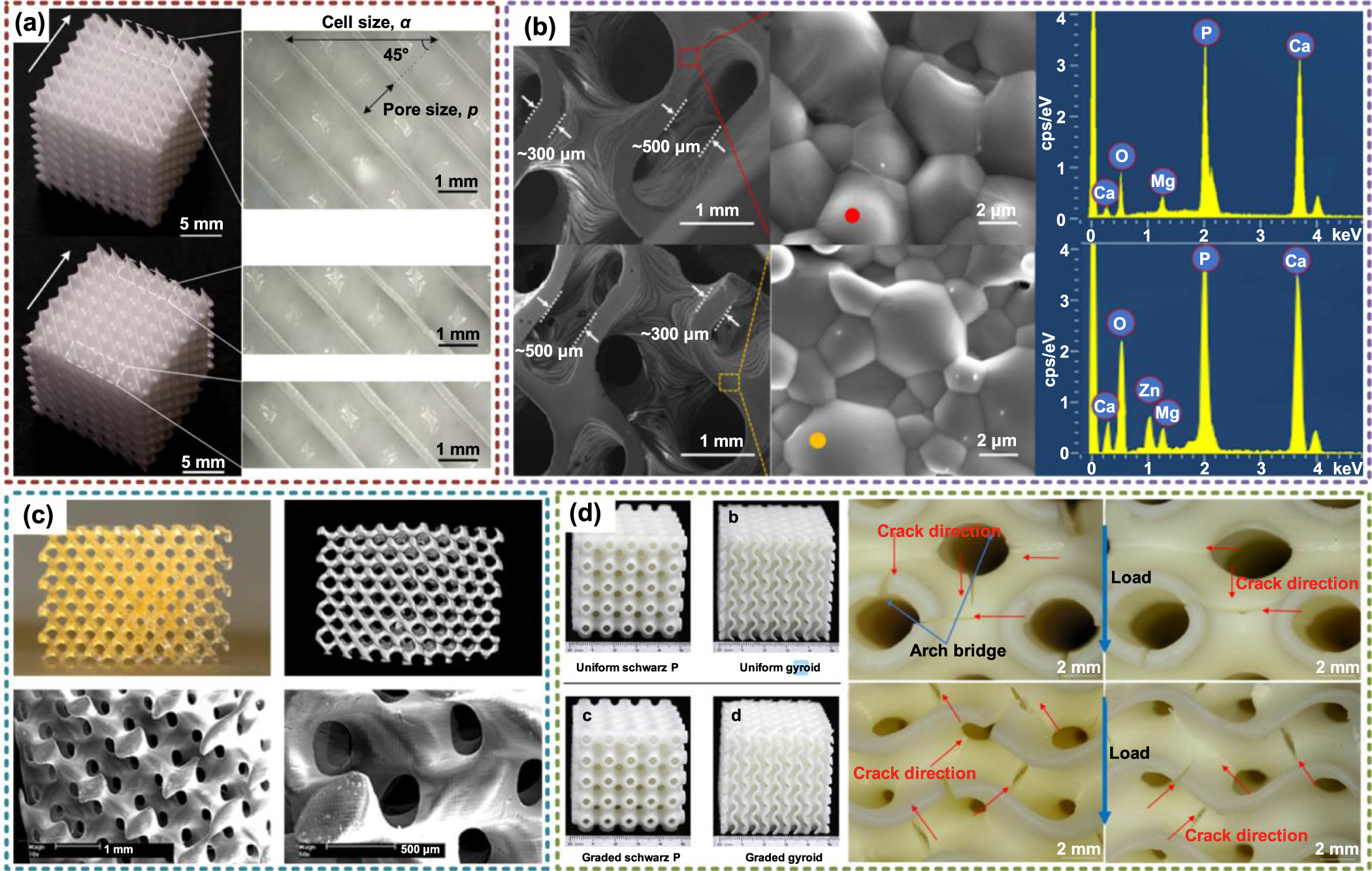 Triply periodic minimal surface (TPMS) porous structures: from multi-scale design, precise ...