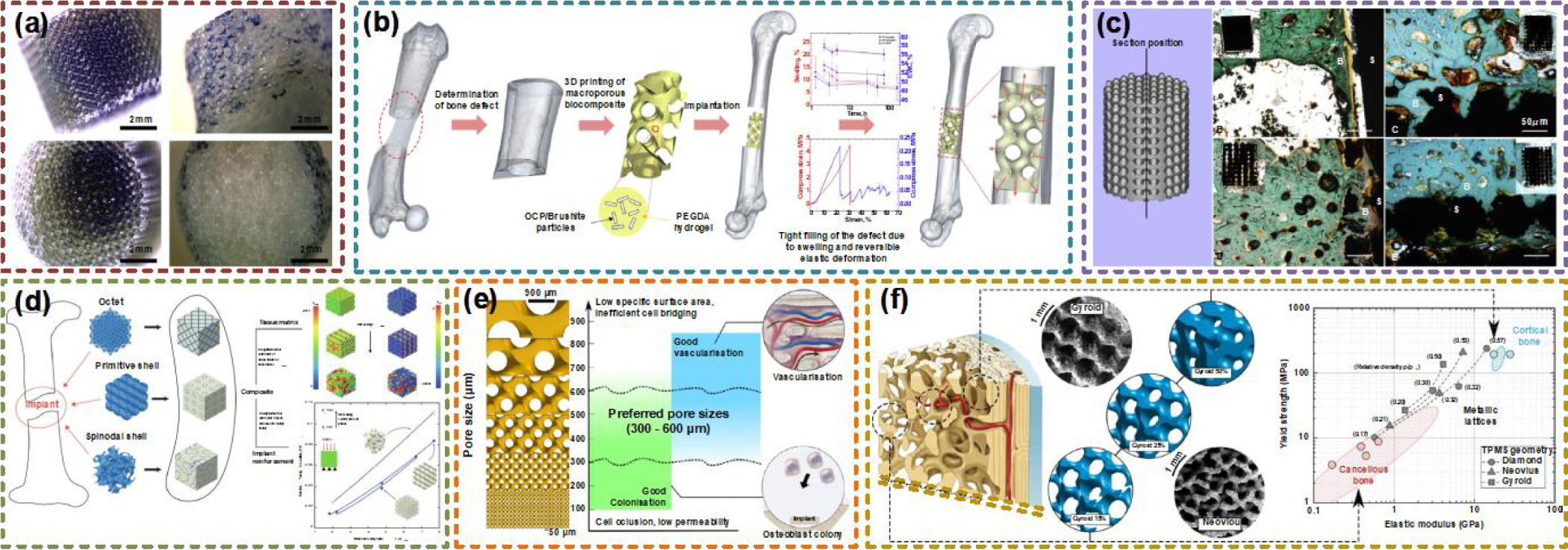 Triply periodic minimal surface (TPMS) porous structures: from multi-scale design, precise ...
