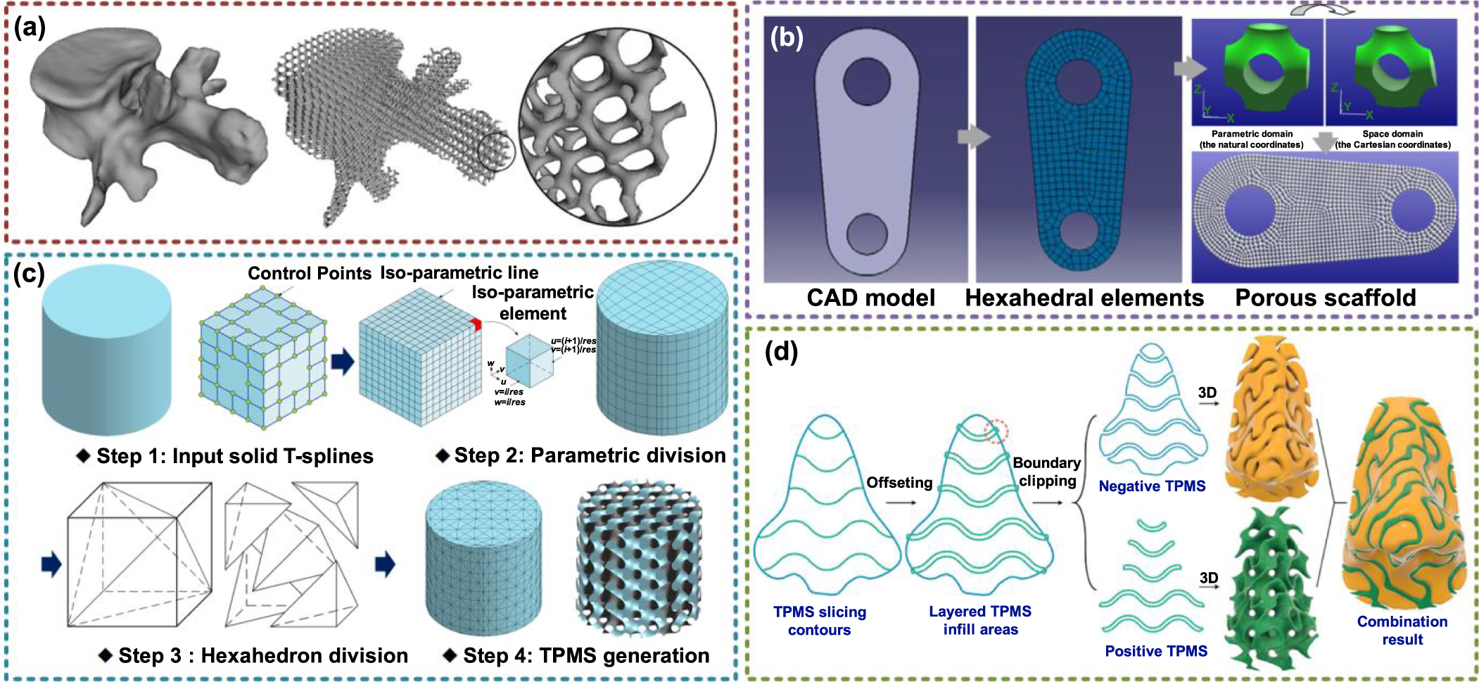 Triply periodic minimal surface (TPMS) porous structures: from multi-scale design, precise ...