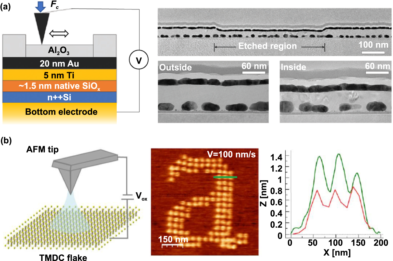 Intermolecular and surface forces in atomic-scale manufacturing ...