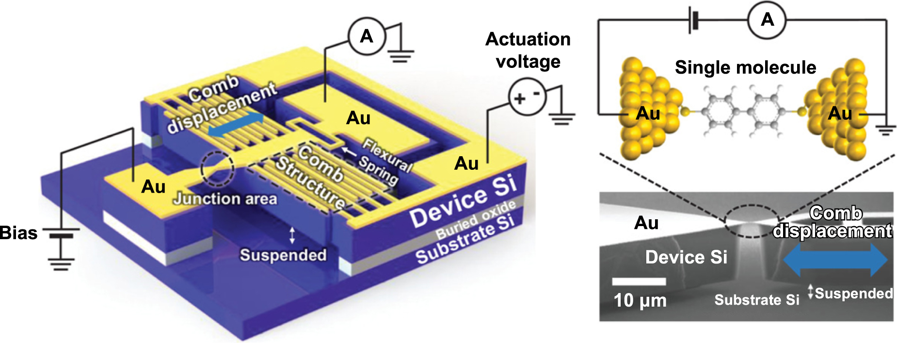 The fabrication, characterization and functionalization in molecular ...