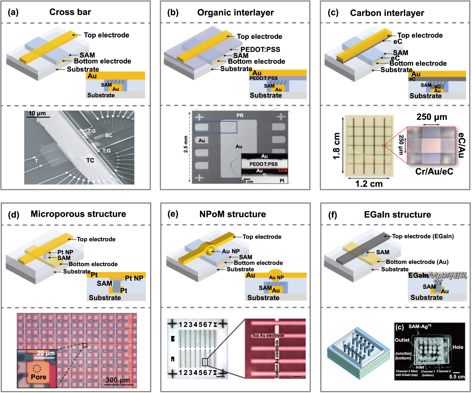 The fabrication, characterization and functionalization in molecular ...