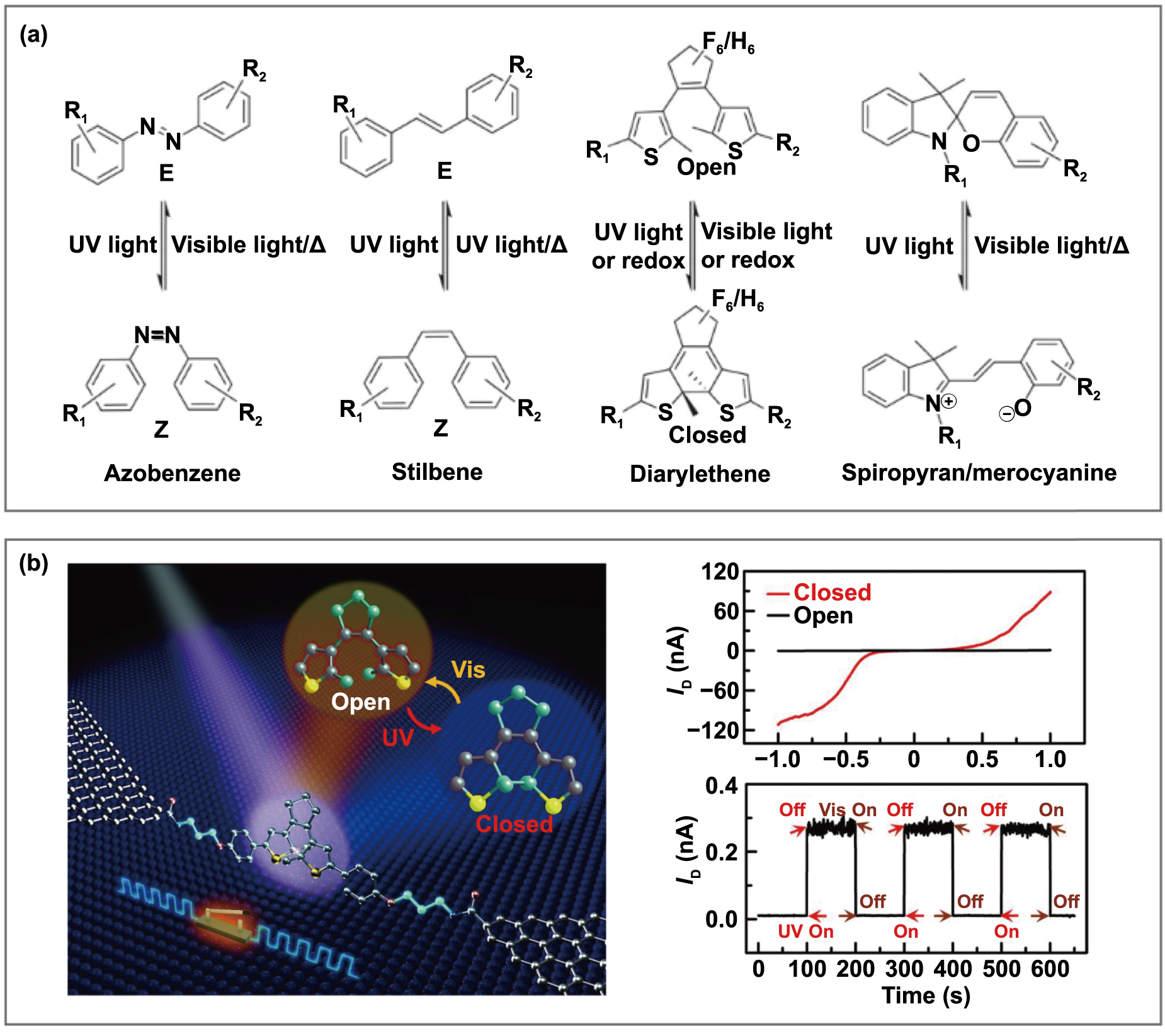 The fabrication, characterization and functionalization in molecular ...