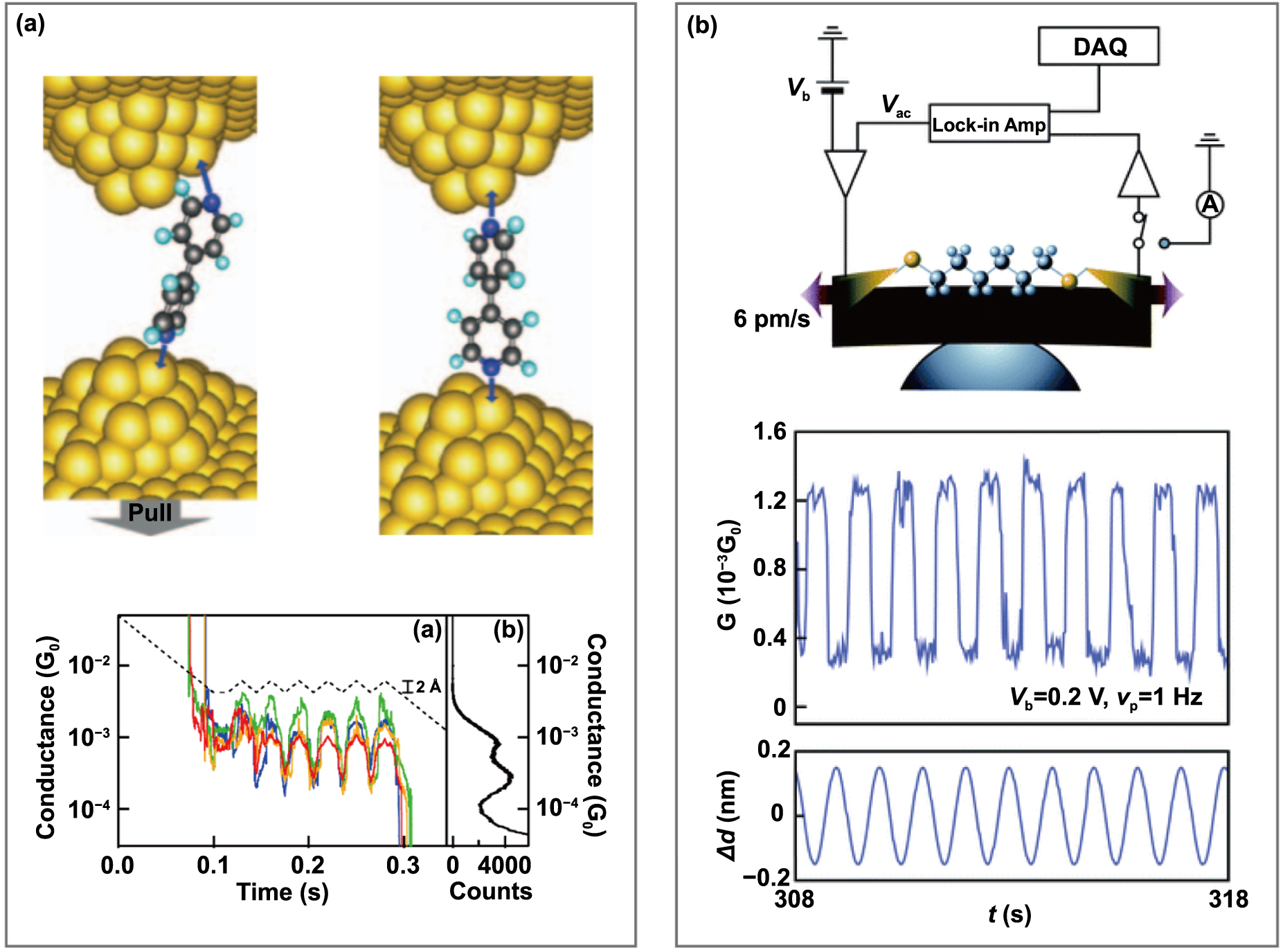 The fabrication, characterization and functionalization in molecular ...