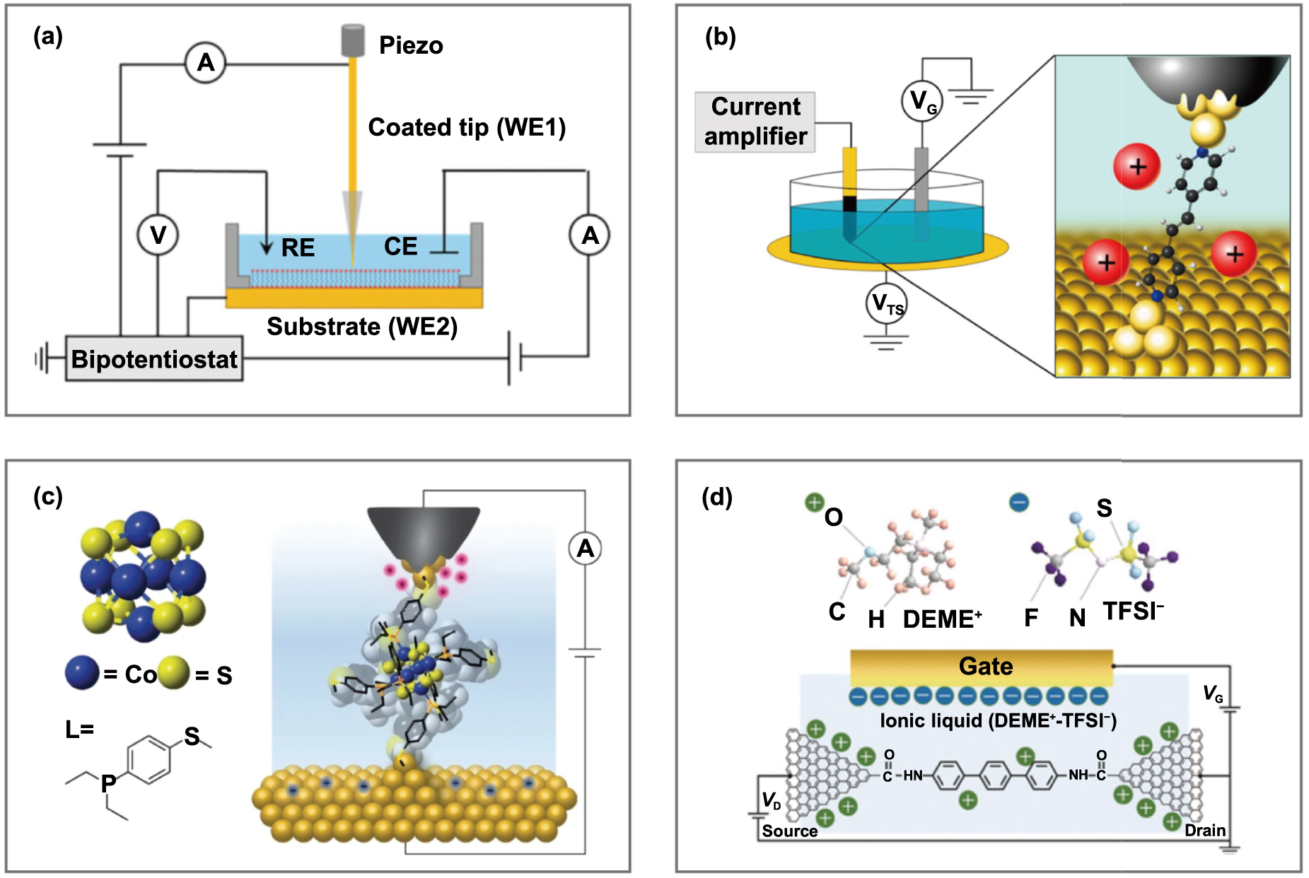 The fabrication, characterization and functionalization in molecular ...