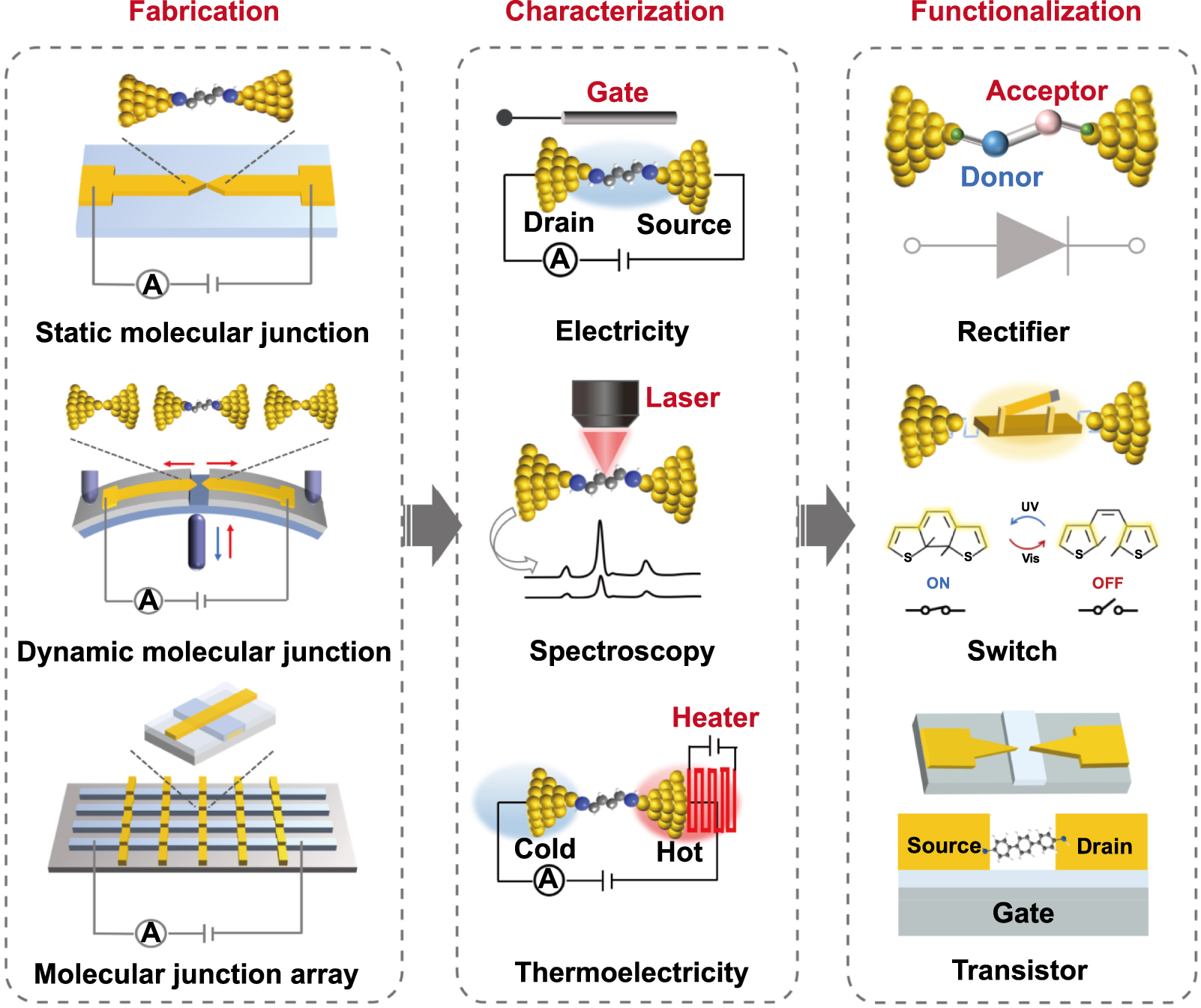 The fabrication, characterization and functionalization in molecular ...