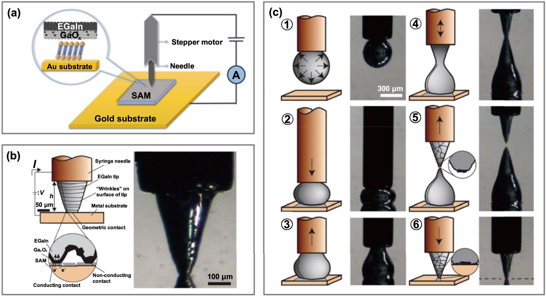 The fabrication, characterization and functionalization in molecular ...