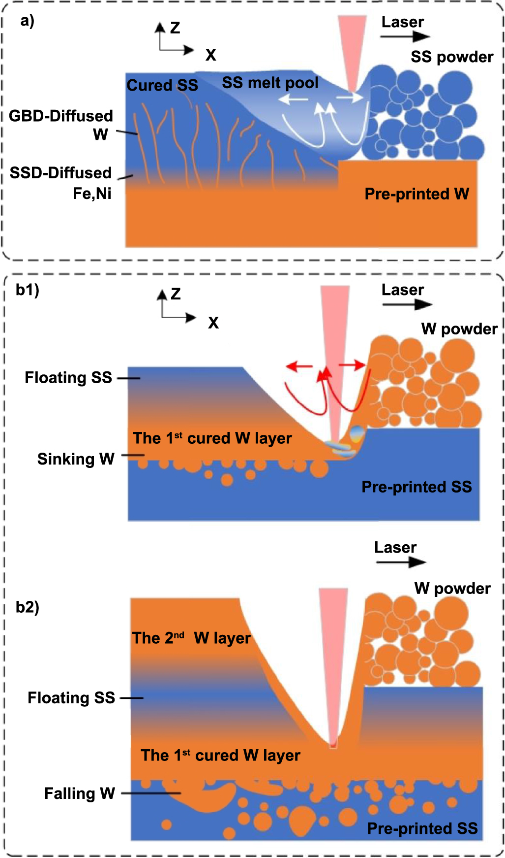 Abnormal interfacial bonding mechanisms of multi-material additive ...