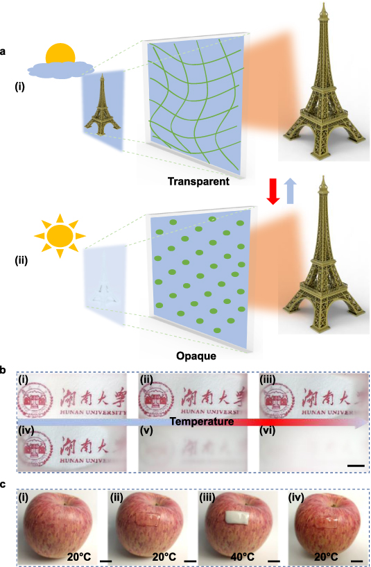 3D printed hydrogel for soft thermo-responsive smart window - IOPscience