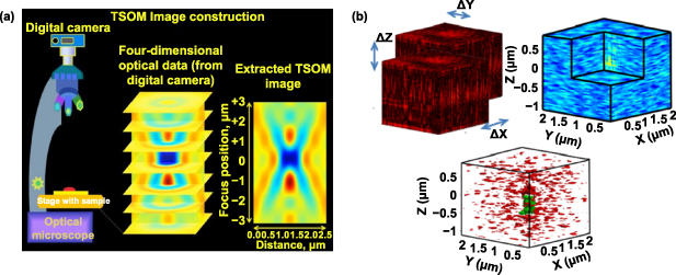 Optical wafer defect inspection at the 10 nm technology node and beyond ...