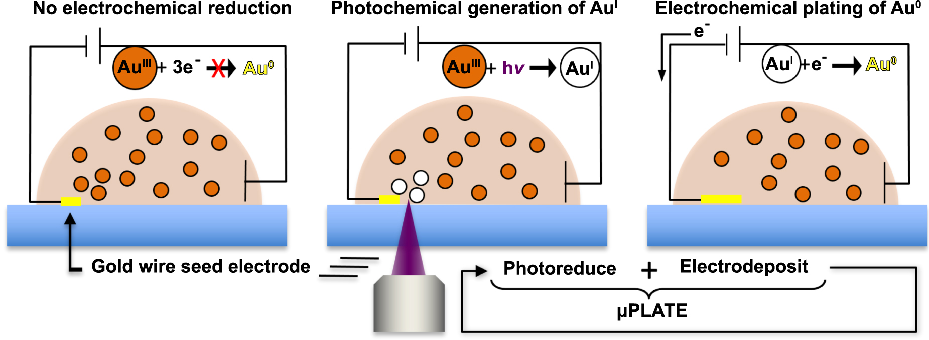 Electro- and photochemical studies of gold (III) bromide towards a ...