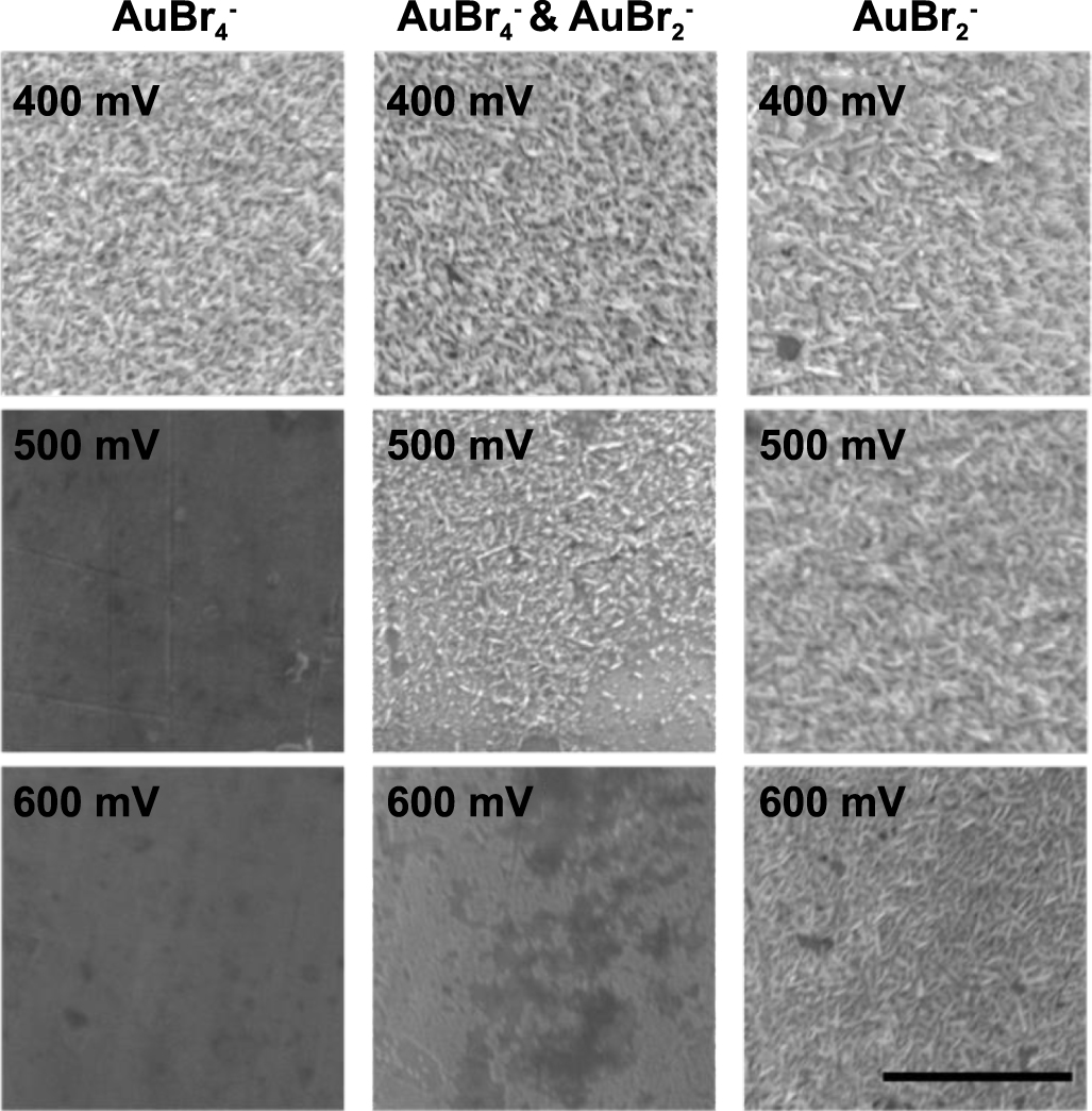 Electro- and photochemical studies of gold (III) bromide towards a ...