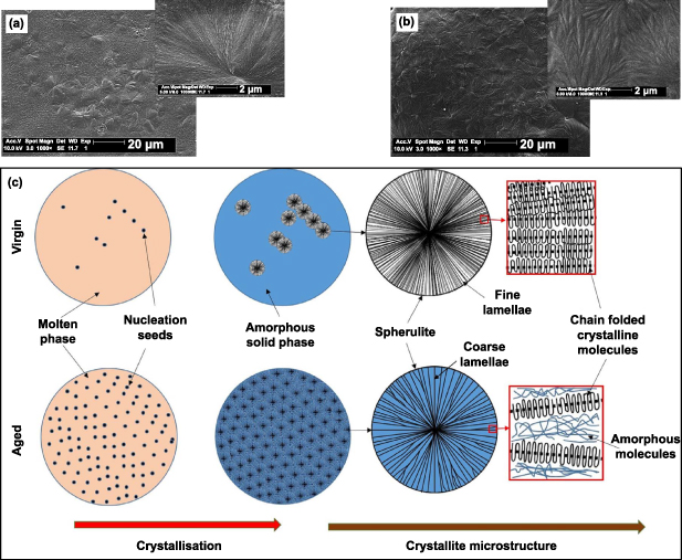 Advances in selective laser sintering of polymers - IOPscience