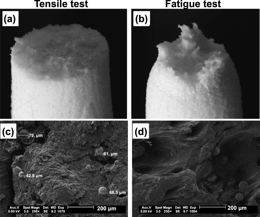 Advances in selective laser sintering of polymers - IOPscience