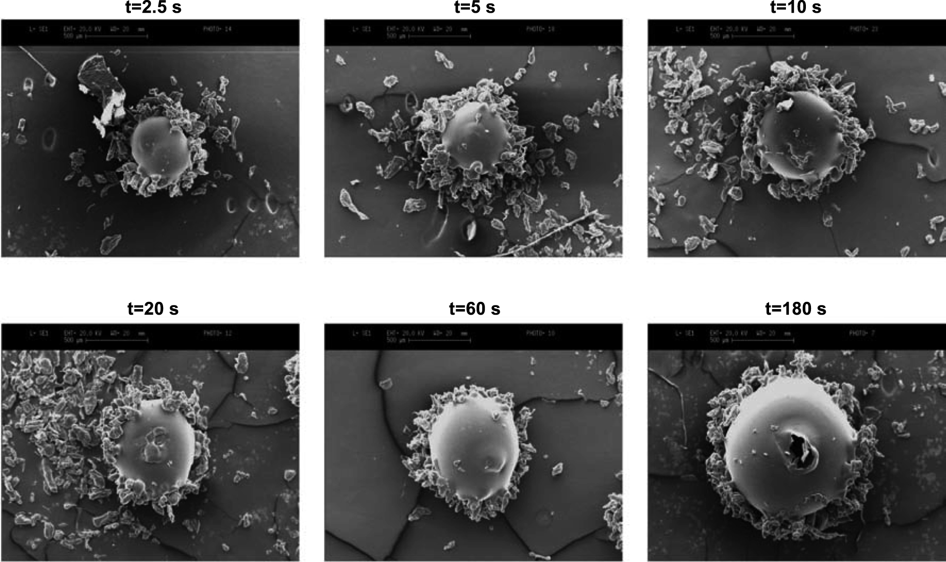 Advances in selective laser sintering of polymers - IOPscience