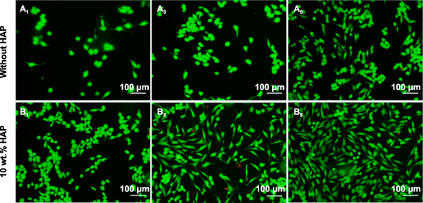 Advances in selective laser sintering of polymers - IOPscience