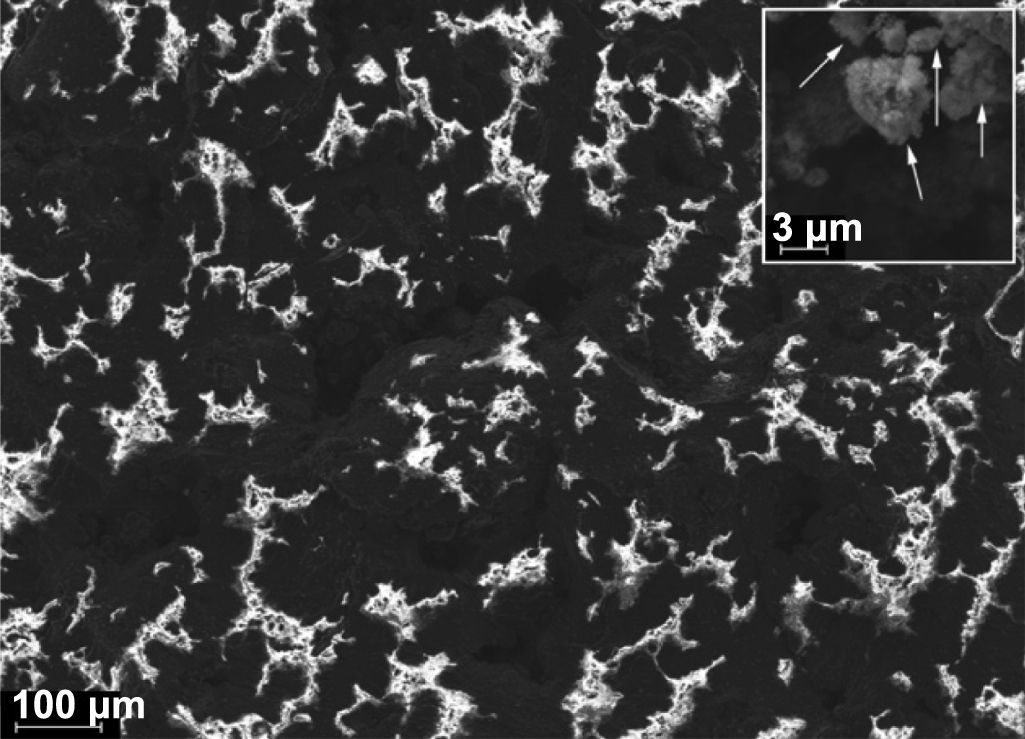 Advances in selective laser sintering of polymers - IOPscience