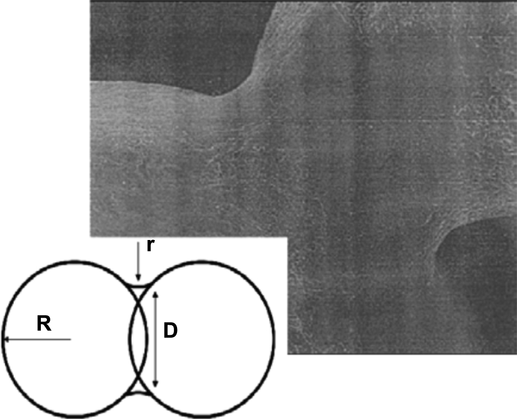 Advances in selective laser sintering of polymers - IOPscience