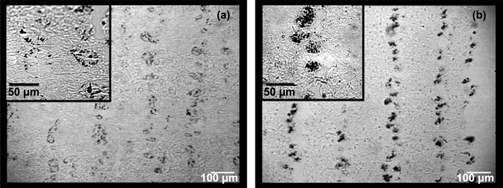 Advances in selective laser sintering of polymers - IOPscience