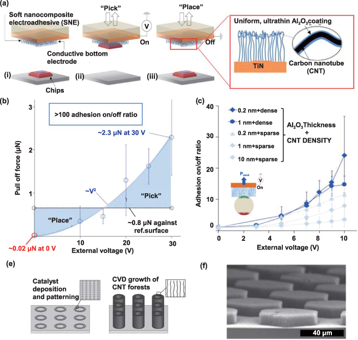 Mass transfer techniques for large-scale and high-density microLED ...