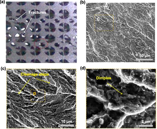Compressive mechanical properties and shape memory effect of NiTi gradient lattice structures ...