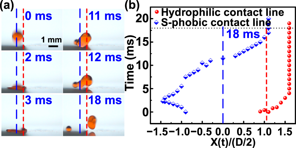 Fabrication of extreme wettability surface for controllable droplet ...