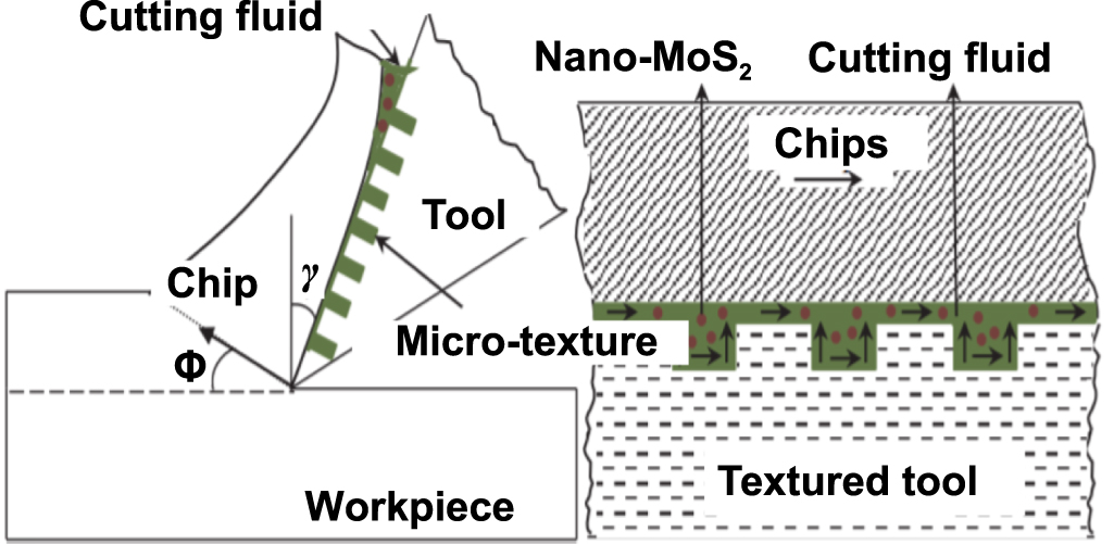 Friction behaviors in the metal cutting process: state of the art and ...