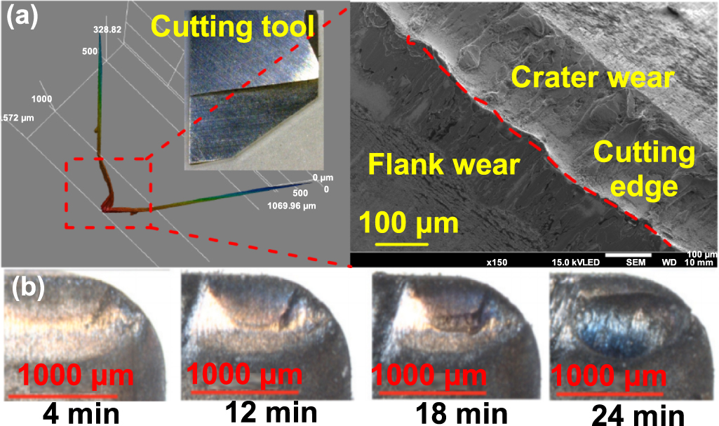 Friction behaviors in the metal cutting process: state of the art and ...