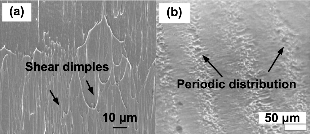 Friction behaviors in the metal cutting process: state of the art and ...