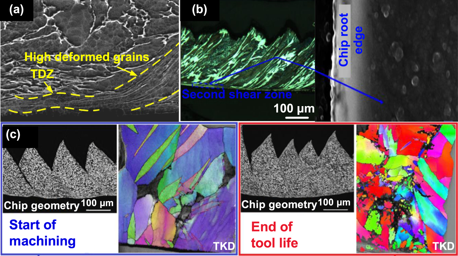 Friction behaviors in the metal cutting process: state of the art and ...