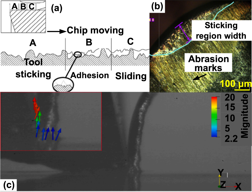 Friction behaviors in the metal cutting process: state of the art and ...