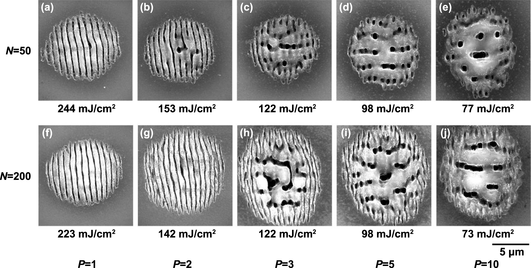 Two-dimensional laser-induced periodic surface structures formed on ...