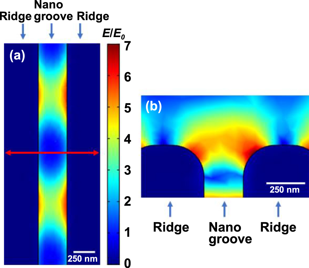 Two-dimensional laser-induced periodic surface structures formed on ...