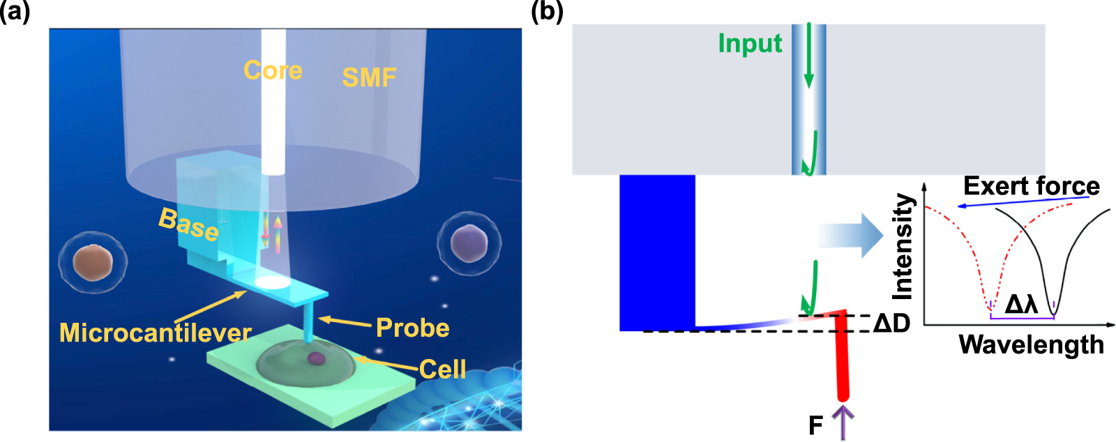 3D printed fiber-optic nanomechanical bioprobe - IOPscience