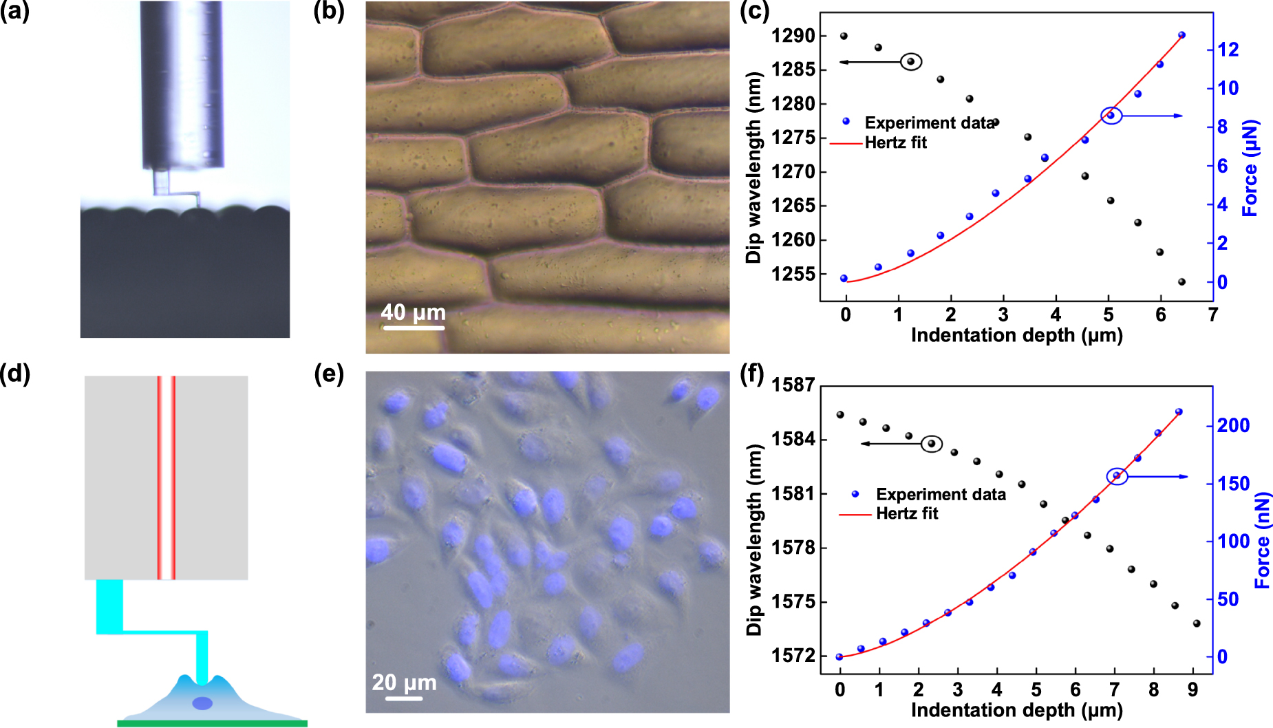 3D printed fiber-optic nanomechanical bioprobe - IOPscience