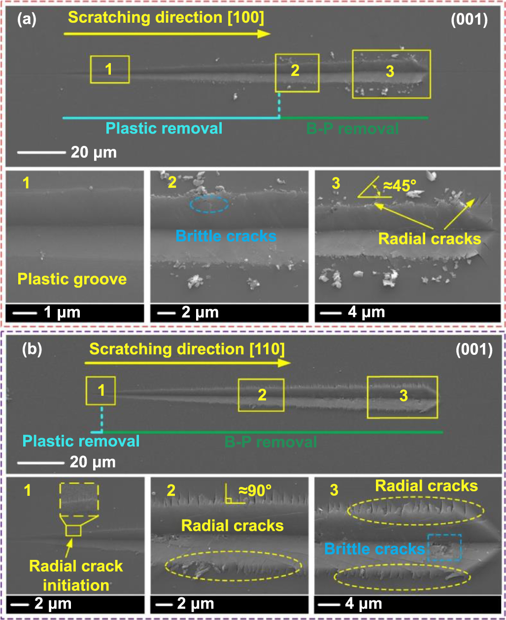 Understand anisotropy dependence of damage evolution and material ...