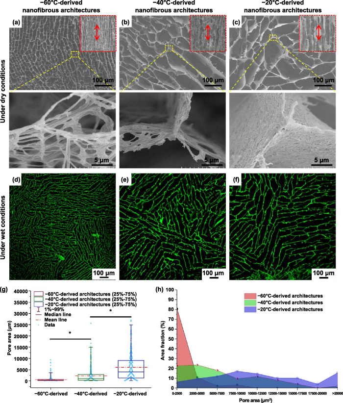 Embedding aligned nanofibrous architectures within 3D-printed polycaprolactone scaffolds for ...