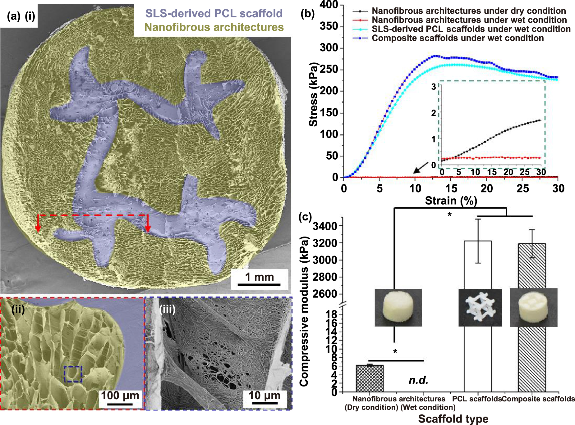 Embedding aligned nanofibrous architectures within 3D-printed polycaprolactone scaffolds for ...
